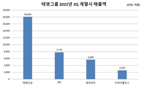 재무리스크 점검 태영건설 Sbs·에코비트 등 계열사 지원 가능성 낮아 딜사이트