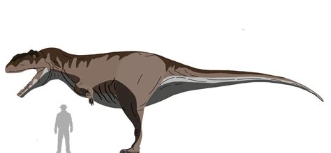 Carcharodontosaurus Saharicus V3 By Slivereyes12 On Deviantart