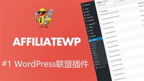 Affiliatewp教程 Wordpress第一联盟插件使用指南 知乎