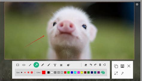Apeaksoft Screen Recorder MP Recording Software For PC
