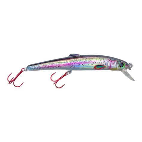 055 Aa Live Rainbow Smelt