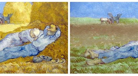 Are You Showing Fodmap Symptoms The Glow