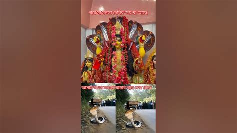 অসহায় মা 🌺🌺🙏 মা মনসা নিজে দেখা দিয়েছে ভক্তদের সবাই একবার বলুন 🌺🌺🙏