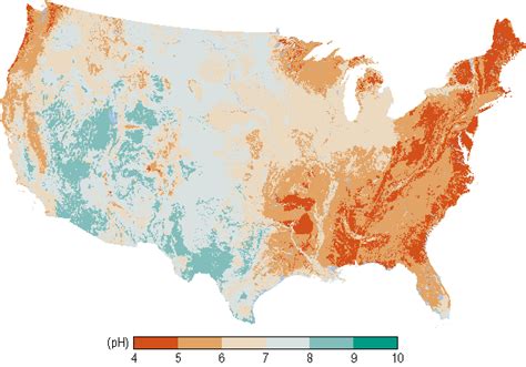 Soil Datasets