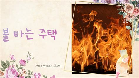 감동사연 불 타는 주택 Youtube