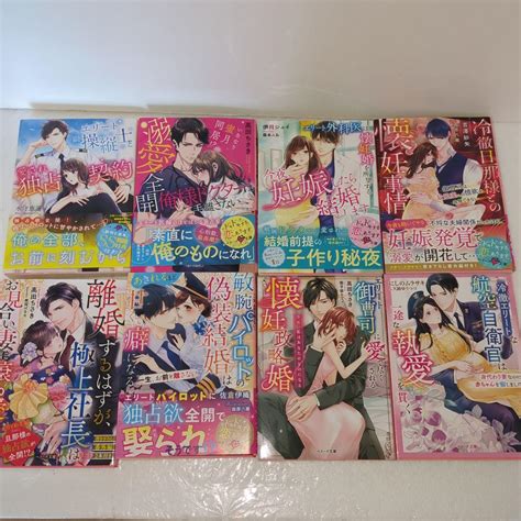 （b）エリート副操縦士と愛され独占契約 8冊セット メルカリ