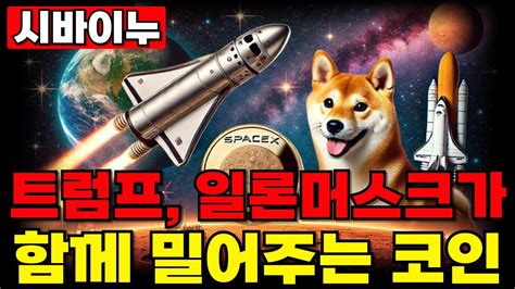 시바이누코인 트럼프와 일론머스크가 함께 밀어주는 코인 시바이누 채택 Youtube