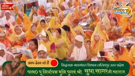 Live सिद्धचक्र महामंडल विधान एवं विश्व शांति महायज्ञ Youtube