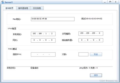 【求教】snsp Dns实验如何通过snsp构建拓扑网络 Csdn博客