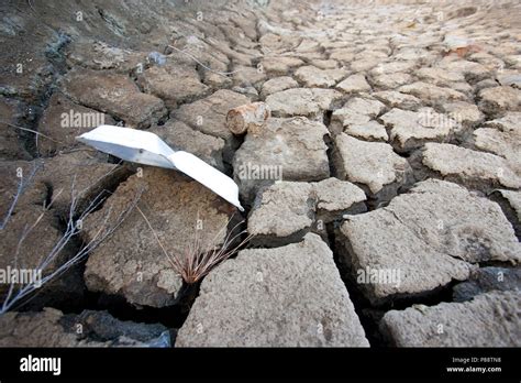 Styrofoam Waste Pollution Stock Photo Alamy