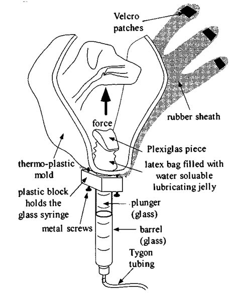 The Force Applicator Is Shown A From The Profile As Worn By The