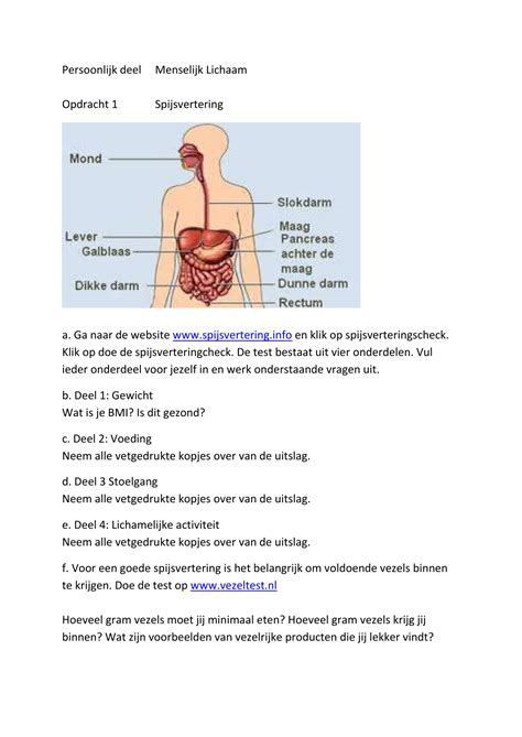 Spijsvertering Menselijk Lichaam Het Menselijk Lichaa