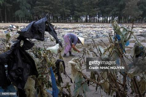 Shell Vietnam Photos And Premium High Res Pictures Getty Images