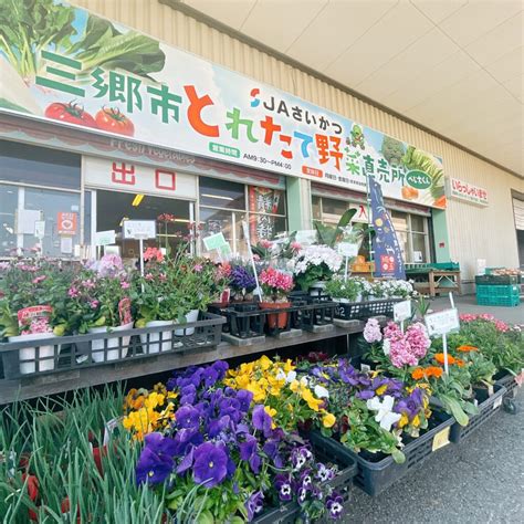 エンクルグループ ブログ 八潮市、三郷市の不動産