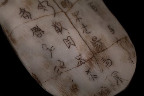 甲骨文图片素材 甲骨文设计素材 甲骨文摄影作品 甲骨文源文件下载 甲骨文图片素材下载 甲骨文背景素材 甲骨文模板下载 搜索中心