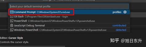 Vscode终端配置 知乎