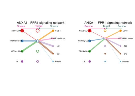 chapter 6 cellchat single cell sequencing analysis