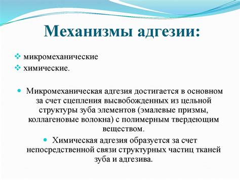 Адгезивы. Химическая структура и свойства современных адгезивных систем ...