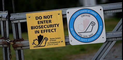 Ai Is For The Birds How Machine Learning Can Help Predict And Manage