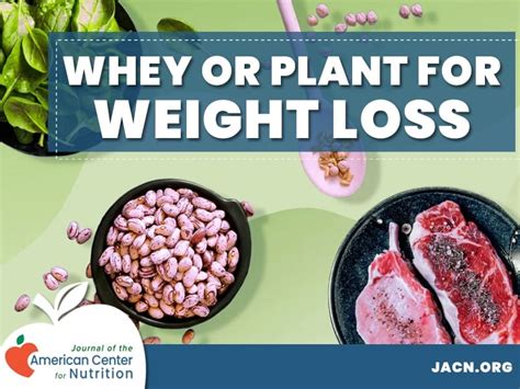 Whey Vs Plant Based Protein For Fitness Goals Comparison Of Whey Vs