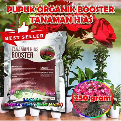 Pupuk Organik Bonsai Dan Tanaman Hias Pupuk Khusus Tanaman Bonsai Pupuk Organik Tanaman Hias