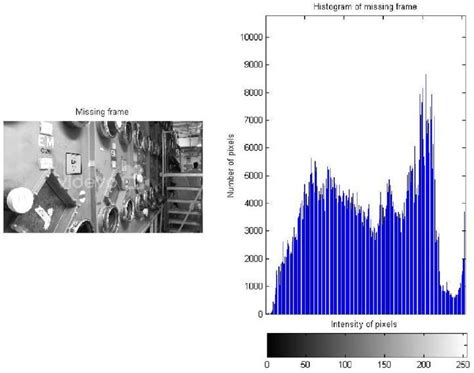 missing frame and its equivalent histogram download scientific diagram