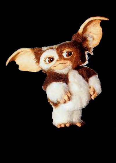 Gizmo Gizmo Photo Fanpop