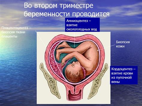 Пренатальная диагностика патологических состояний плода Online