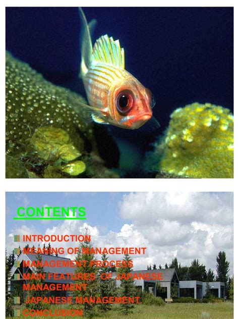 PDF Ppt1 Japanese Mgmt DOKUMEN TIPS