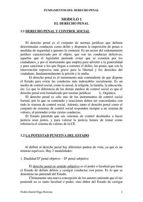 Modulo 1 El Derecho Penal Derecho Penal Y Control Social Apuntes De
