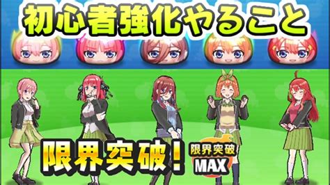 ぷにぷに 五等分の花嫁コラボ初心者がキャラ強化でやること！周回ステージない人におすすめ 妖怪ウォッチぷにぷに レイ太 Youtube