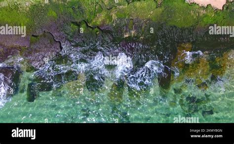 Green Algae On Rock Stock Videos And Footage Hd And 4k Video Clips Alamy