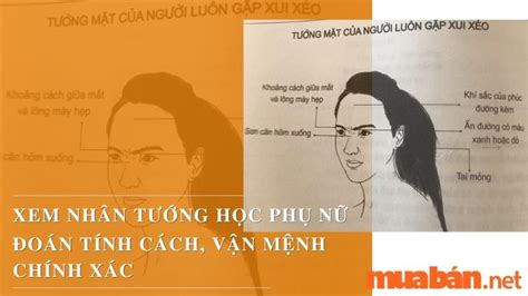 Nhân Tướng Học Phụ Nữ đoán Tính Cách Vận Mệnh Chính Xác Eu Vietnam