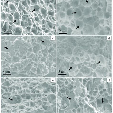 Sem Image Showing The Fracture Morphology Of A Ap B Da C H1a