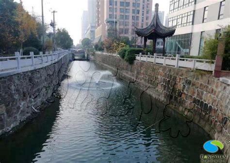 【案例分享】黑臭河道综合整治之西新河水生态修复项目 知乎