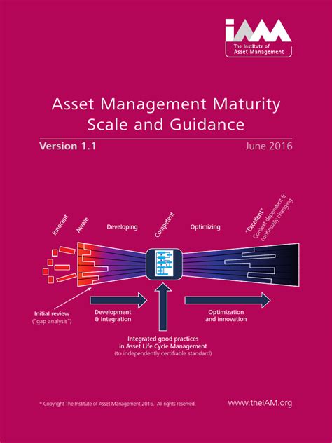 Iam Asset Management Maturity Guide V1 1 Final Web With Fields Pdf Asset Management Life