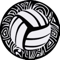 About Us Sa Tribe Volleyball