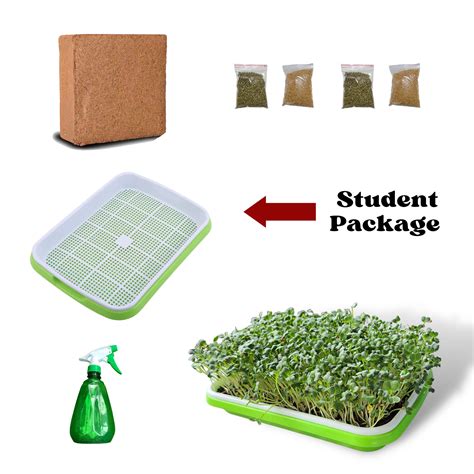 Microgreens Growing Kit Student Package For 1 Person Waterandplant