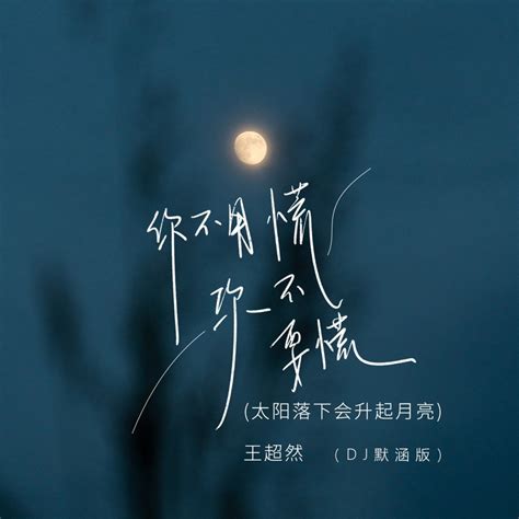 ‎《你不要慌你不用慌太阳落下会升起月亮 Dj默涵版 Single》 王超然的专辑 Apple Music