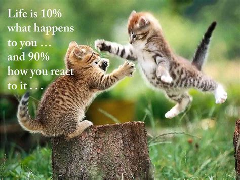 What Happens To You How You React To It Inspirational Quotes BoomSumo