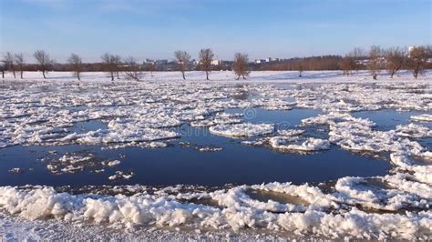 A Lot Of Round Ice Is Floating Along The Shore Ice Drift Melting Snow