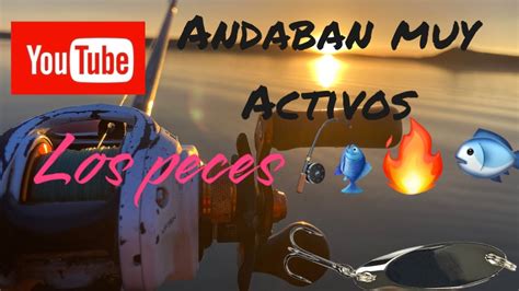 Muy Buena Pesca Fishing Lobina YouTube