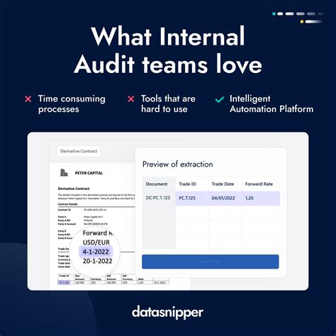 Datasnipper On Linkedin Datasnipper For Internal Audit Intelligent