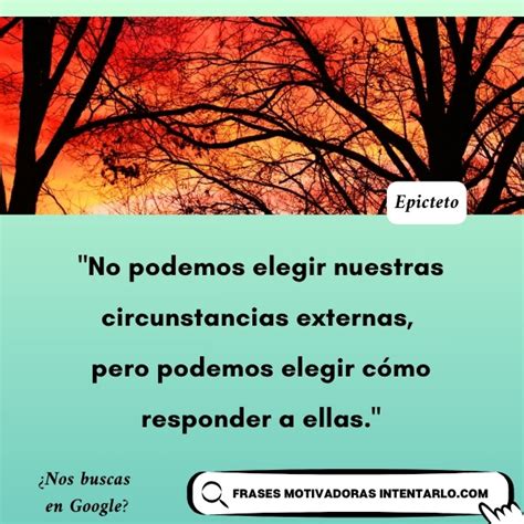 Frases Estoicas La Serenidad En Medio Del Caos De La Vida
