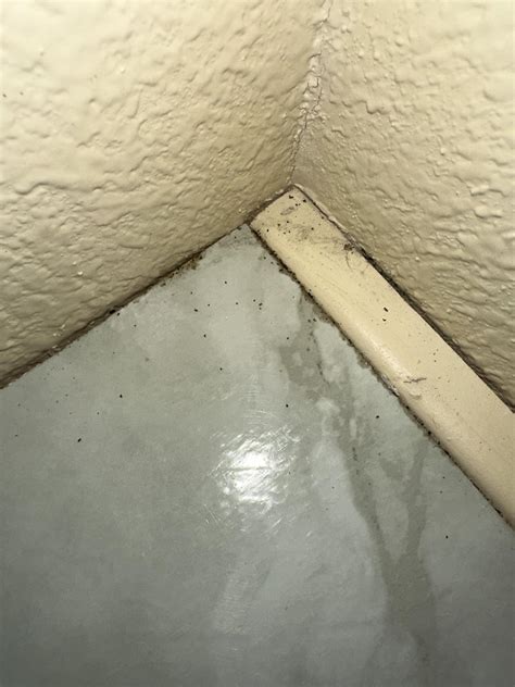 Are These Roach Droppings Rpestcontrol