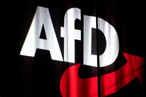 Neuwahlen Afd Mit Krasser Forderung