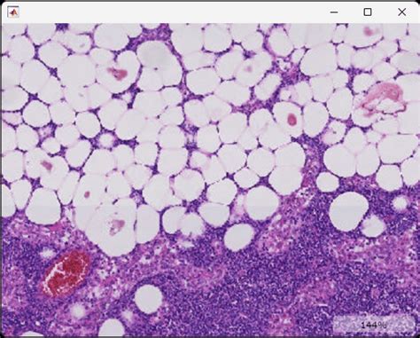 imageshow display image in 2 d viewer matlab