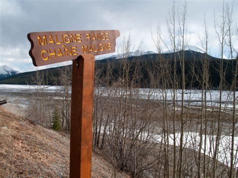 Medicine Lake All About Jasper National Park