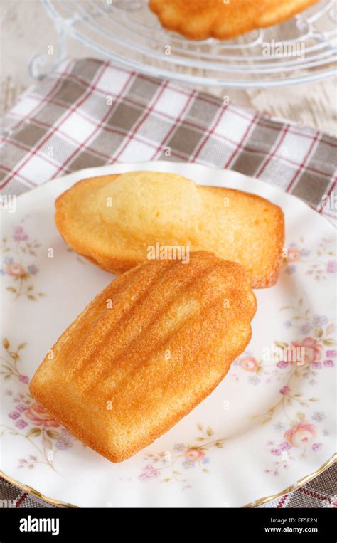 Madeleine Sponge Cake Banque De Photographies Et Dimages à Haute