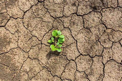 Soluciones Innovadoras Para Luchar Contra La Sequía